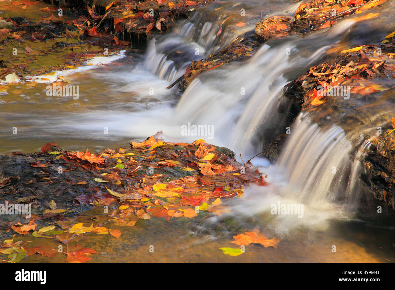 Closeup of Falling Water River, River Trail, Burgess Falls State Park ...