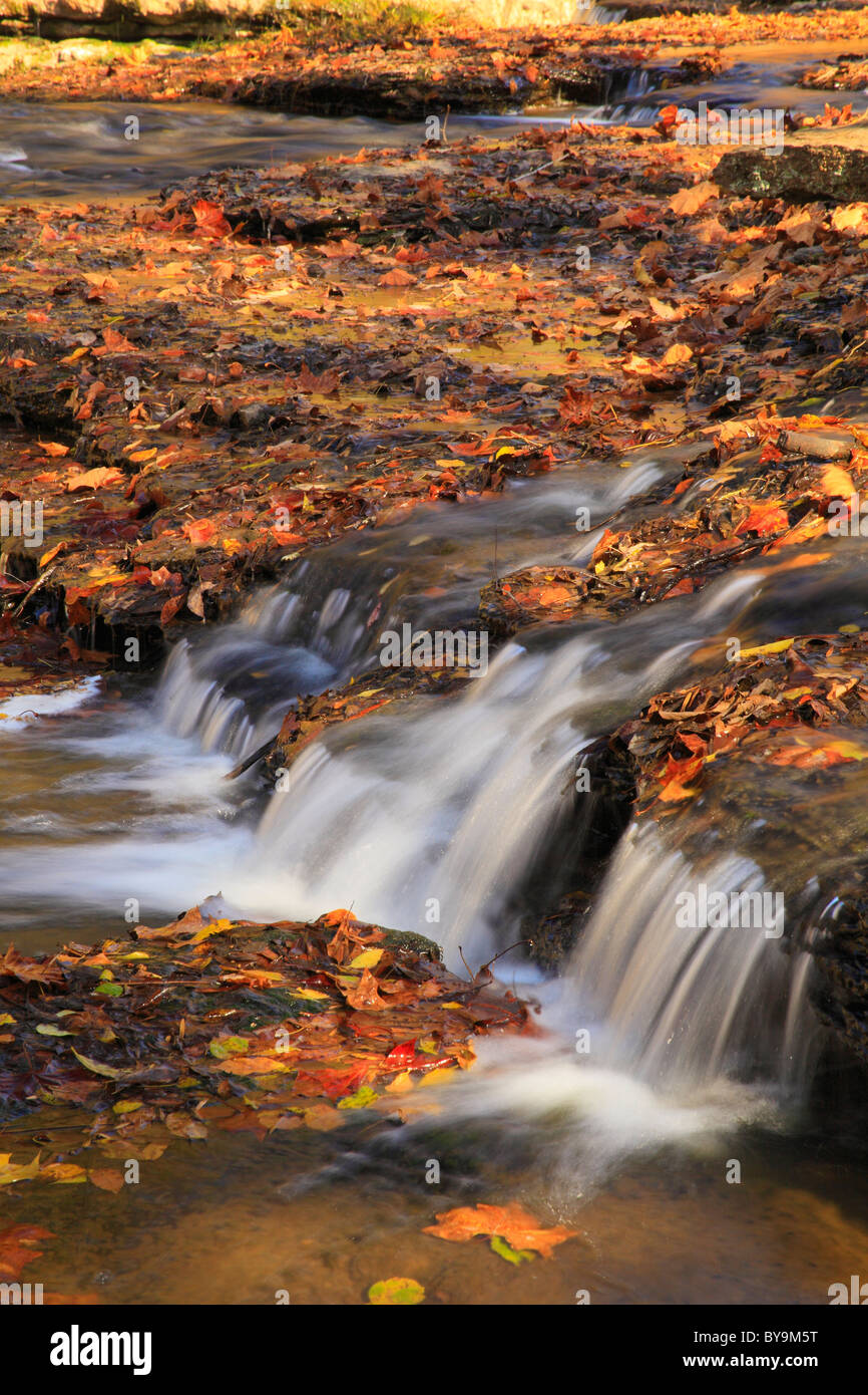 Closeup of Falling Water River, River Trail, Burgess Falls State Park ...