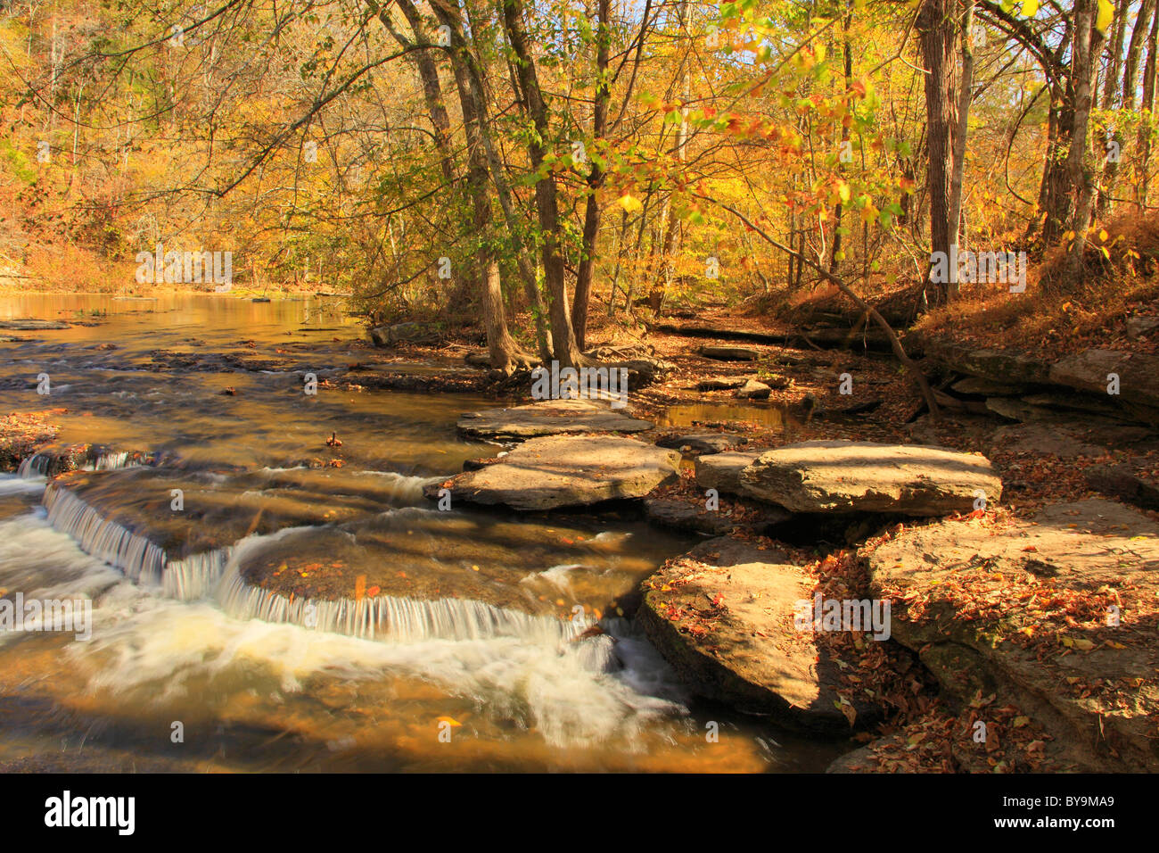 River Trail, Falling Water River, Burgess Falls State Park, Sparta ...