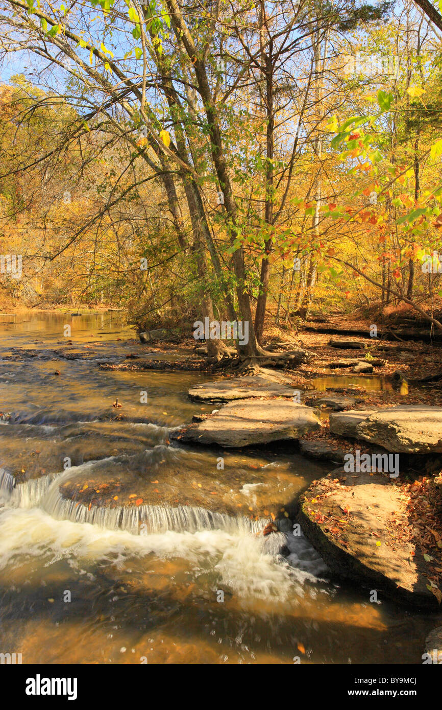 River Trail, Falling Water River, Burgess Falls State Park, Sparta ...
