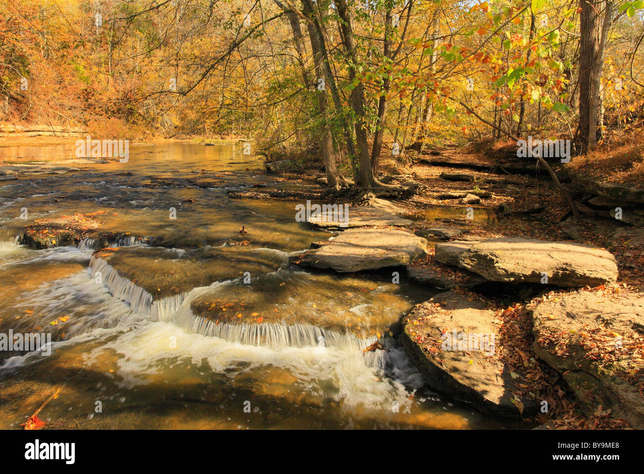 River Trail, Falling Water River, Burgess Falls State Park, Sparta ...
