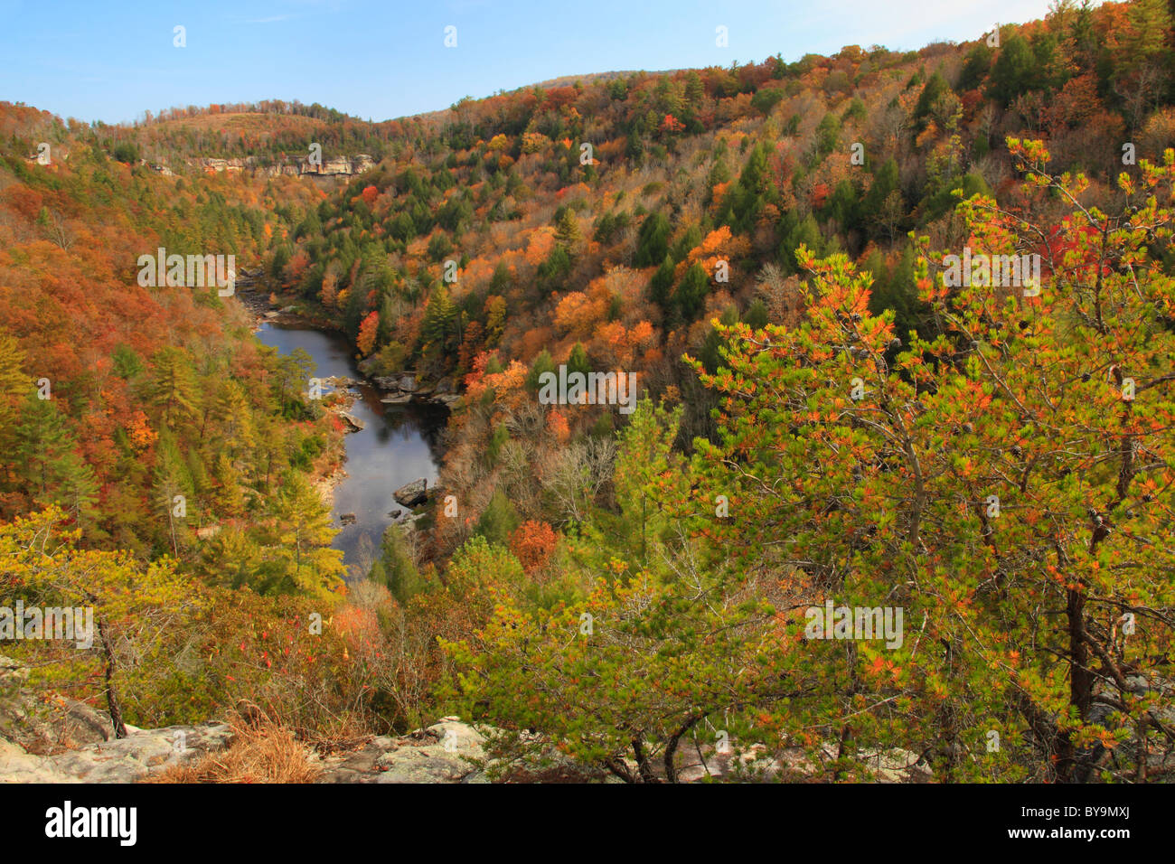 Obed Wild and Scenic River, Lilly Bluffs Overlook, Wartburg, Tennessee ...