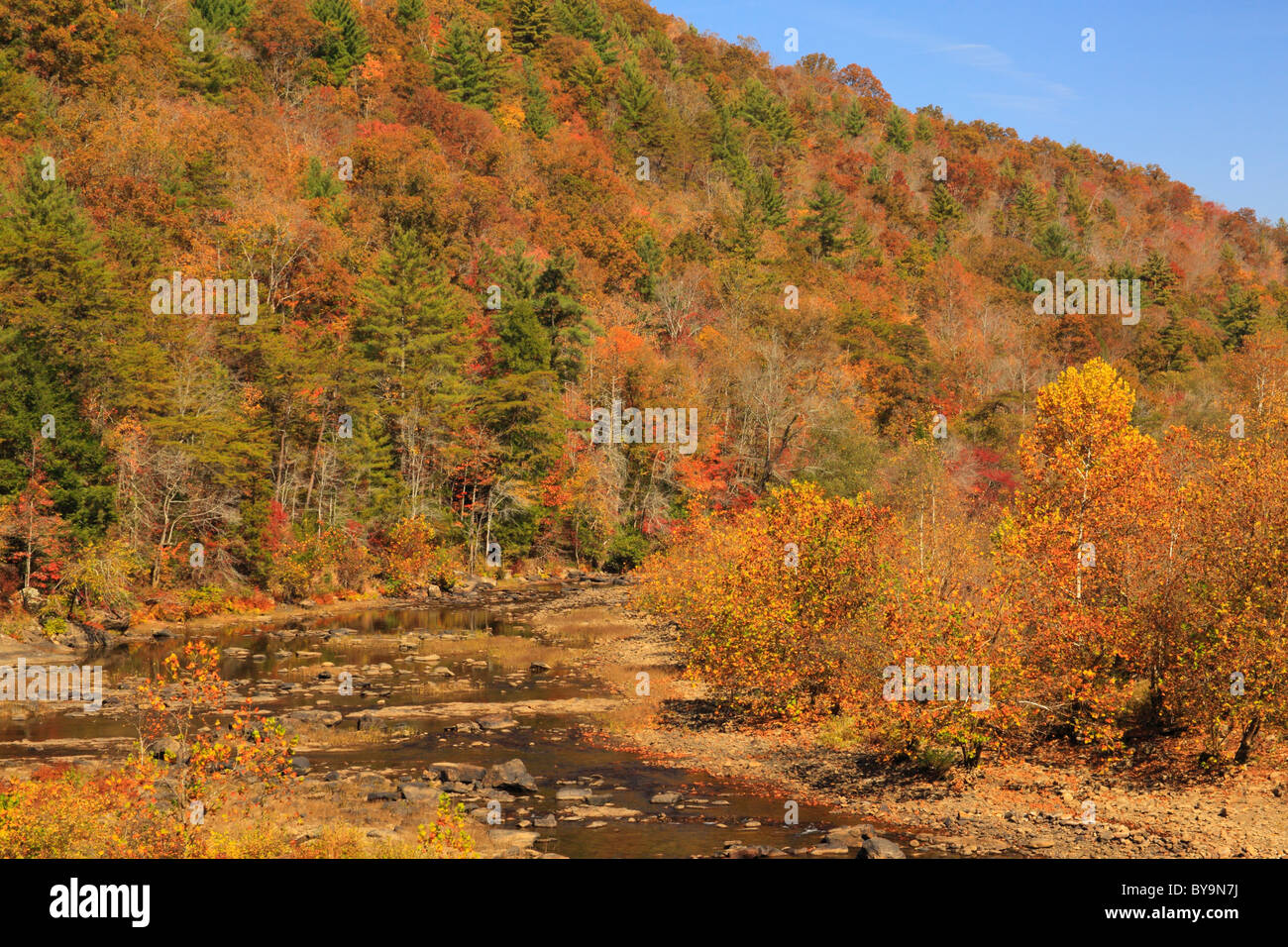Obed Wild and Scenic River, Nemo Bridge area, Wartburg, Tennessee, USA ...