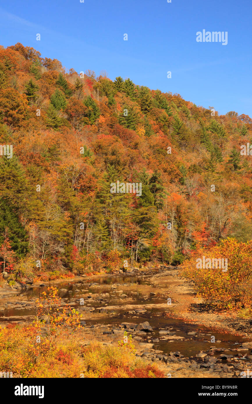 Obed Wild and Scenic River, Nemo Bridge area, Wartburg, Tennessee, USA ...
