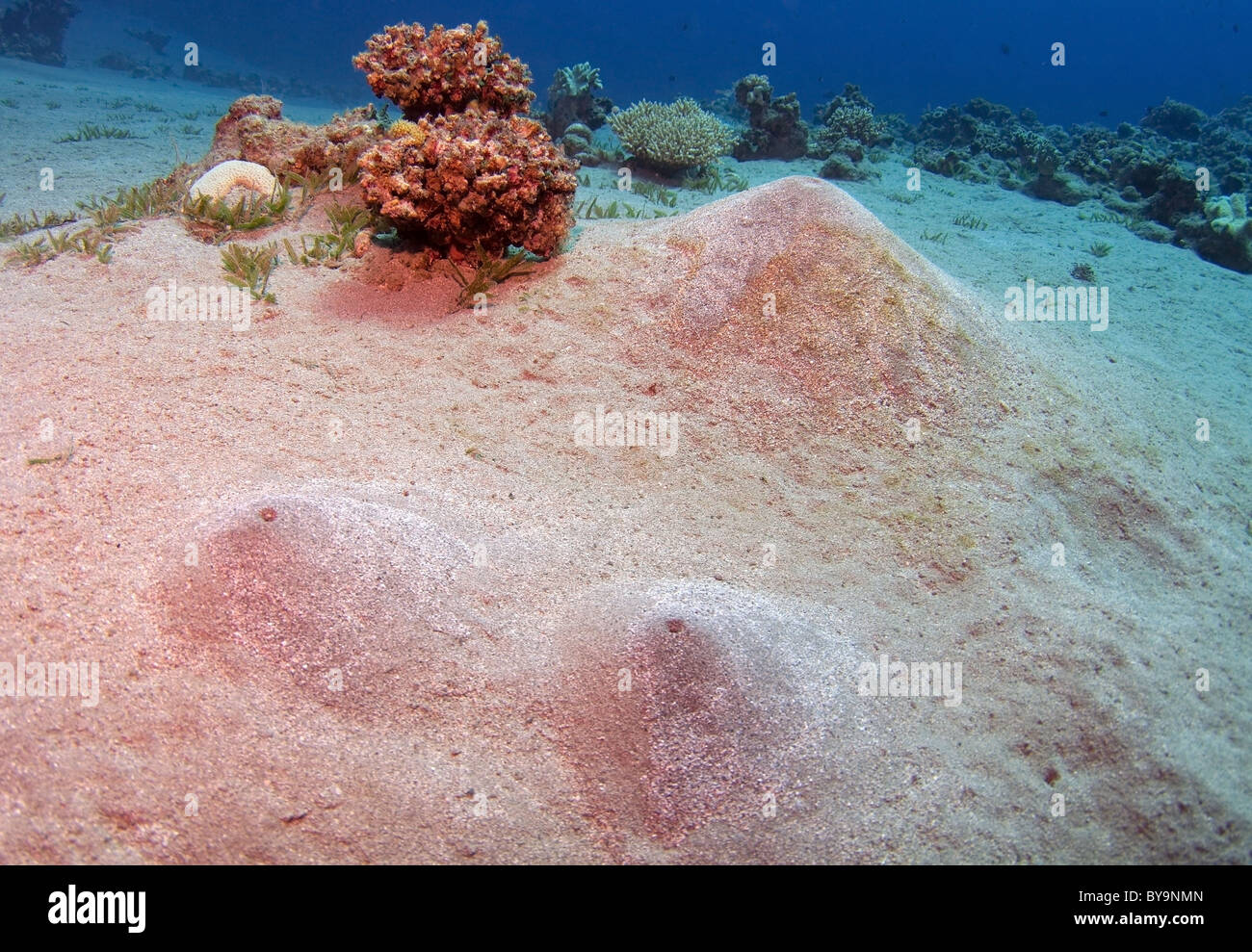 Underwater volcano hi-res stock photography and images - Alamy