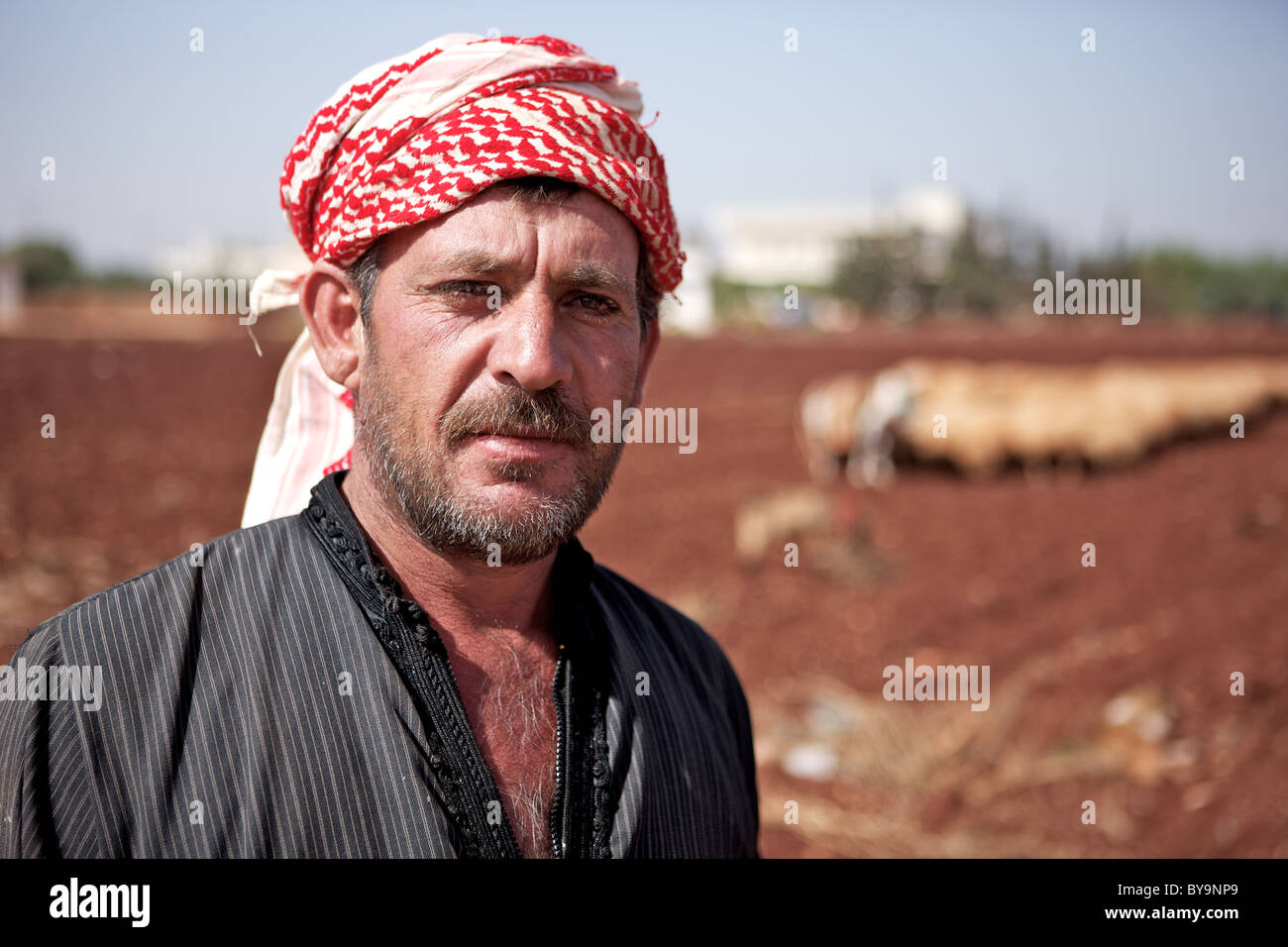 Shepherd syria hi-res stock photography and images - Alamy
