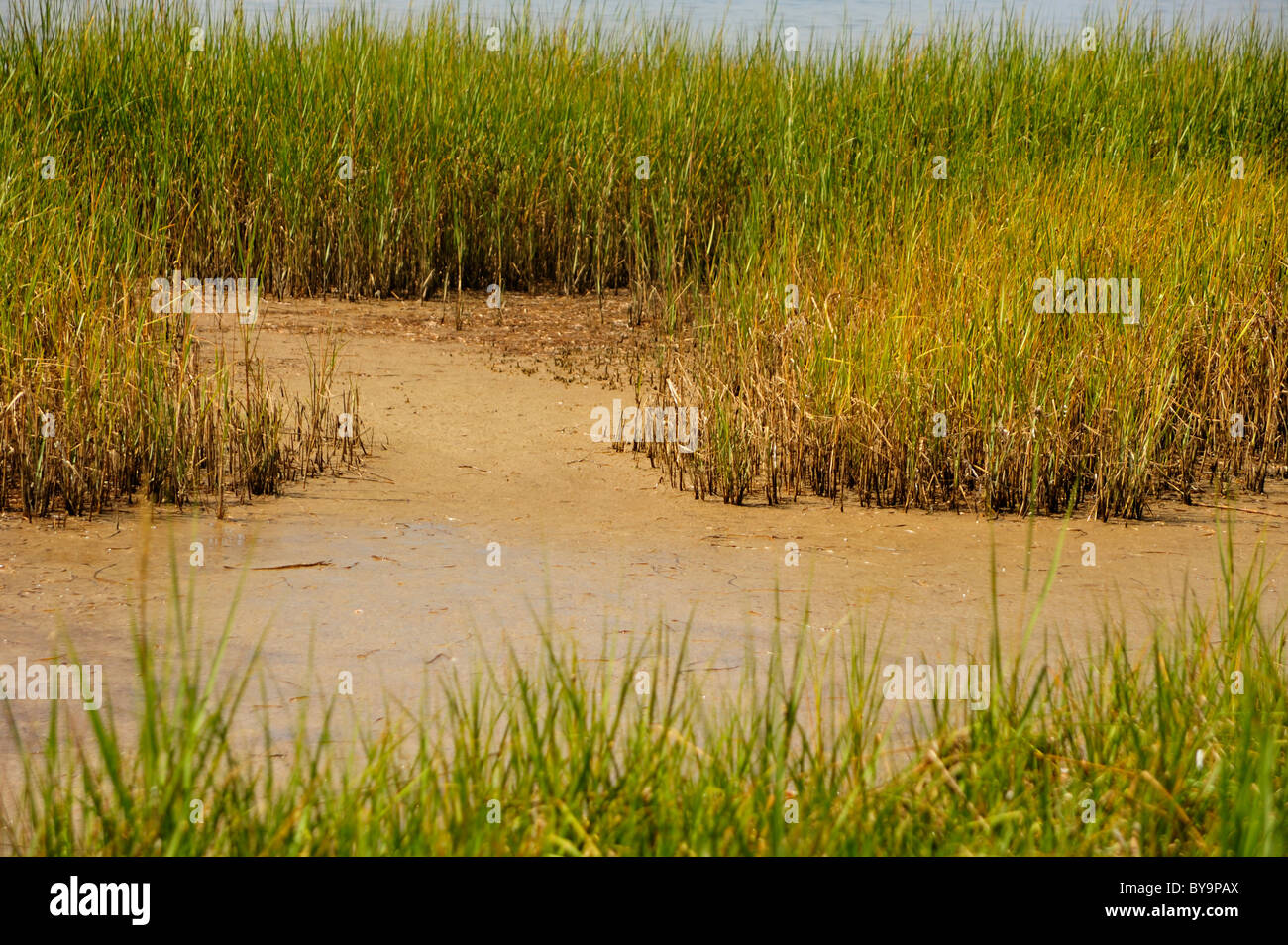 Coastal mud flats hi-res stock photography and images - Alamy