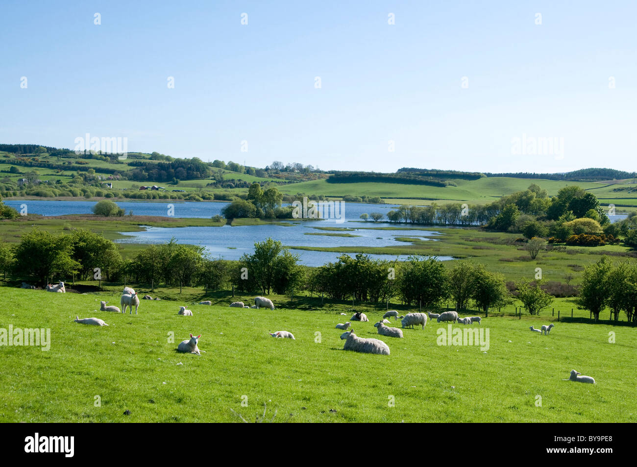 Loch ken scotland hi-res stock photography and images - Alamy