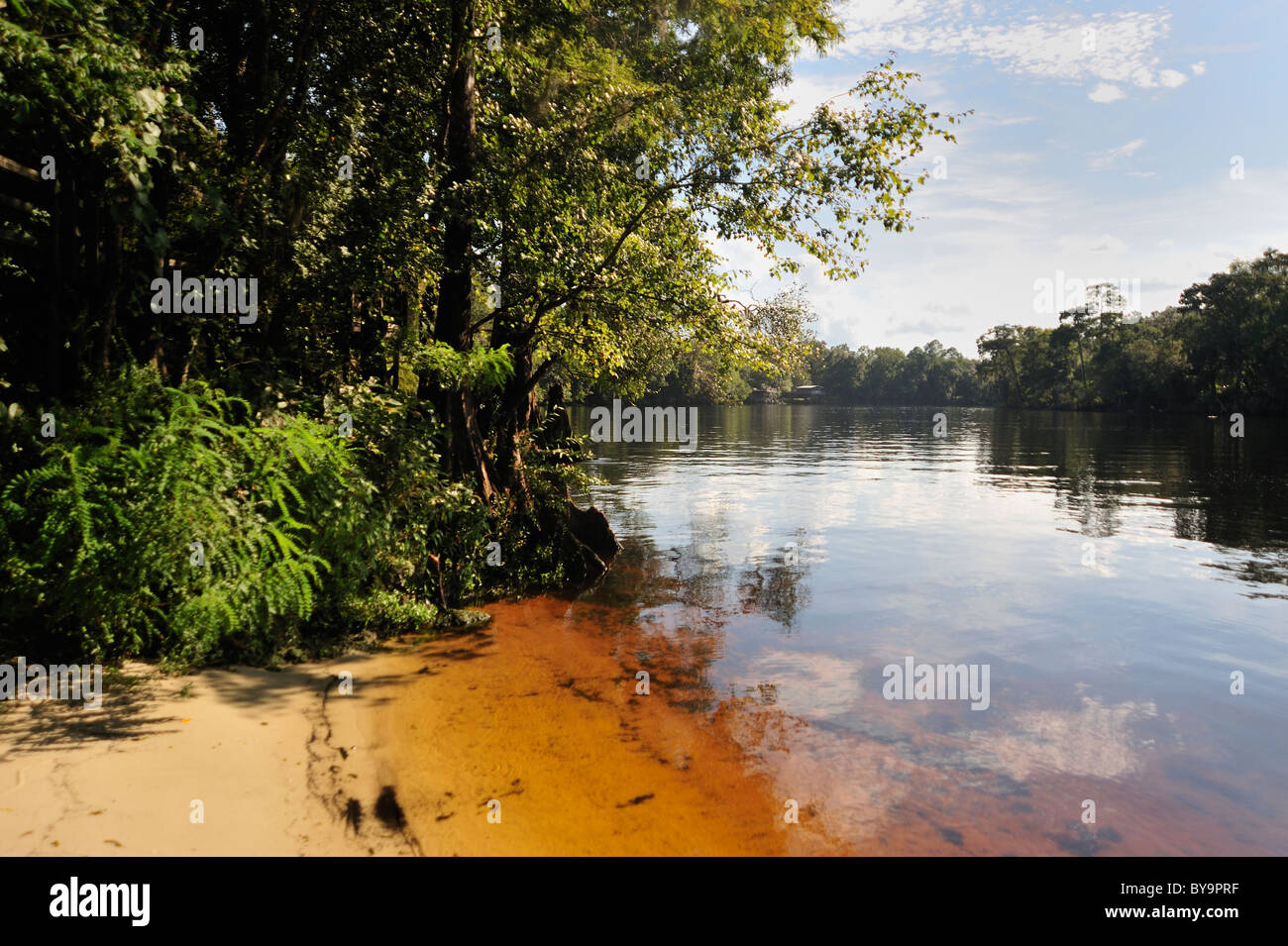 The Saint Marks River in the Big Bend region of Florida, US Stock Photo ...