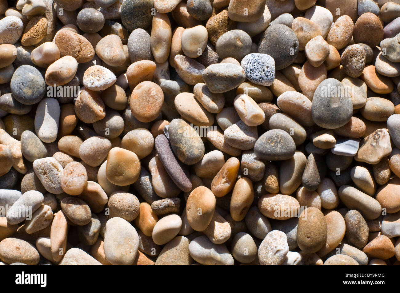 Pebbles on the beach Stock Photo - Alamy