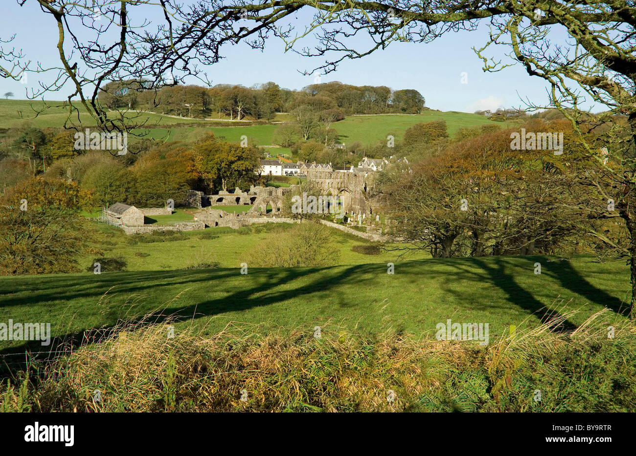 Dundrennan Abbey through trees, Galloway Stock Photo - Alamy