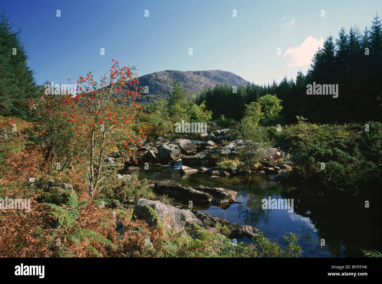 Palnure Burn, Galloway forest Park Stock Photo - Alamy Palnure Burn, Galloway forest Park Stock Photo - Alamy