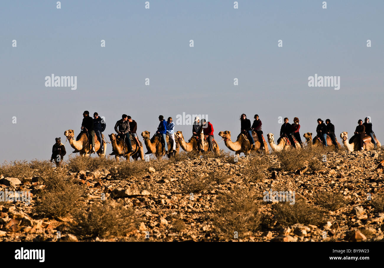 Camel riding israel hi-res stock photography and images - Alamy