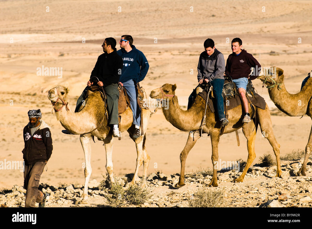 Camel riding israel hi-res stock photography and images - Alamy