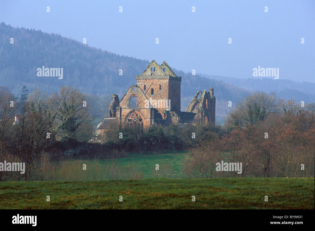 Lady devorgilla hi-res stock photography and images - Alamy