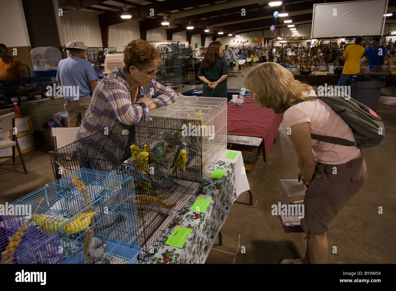 Purchasing a bird Stock Photo - Alamy