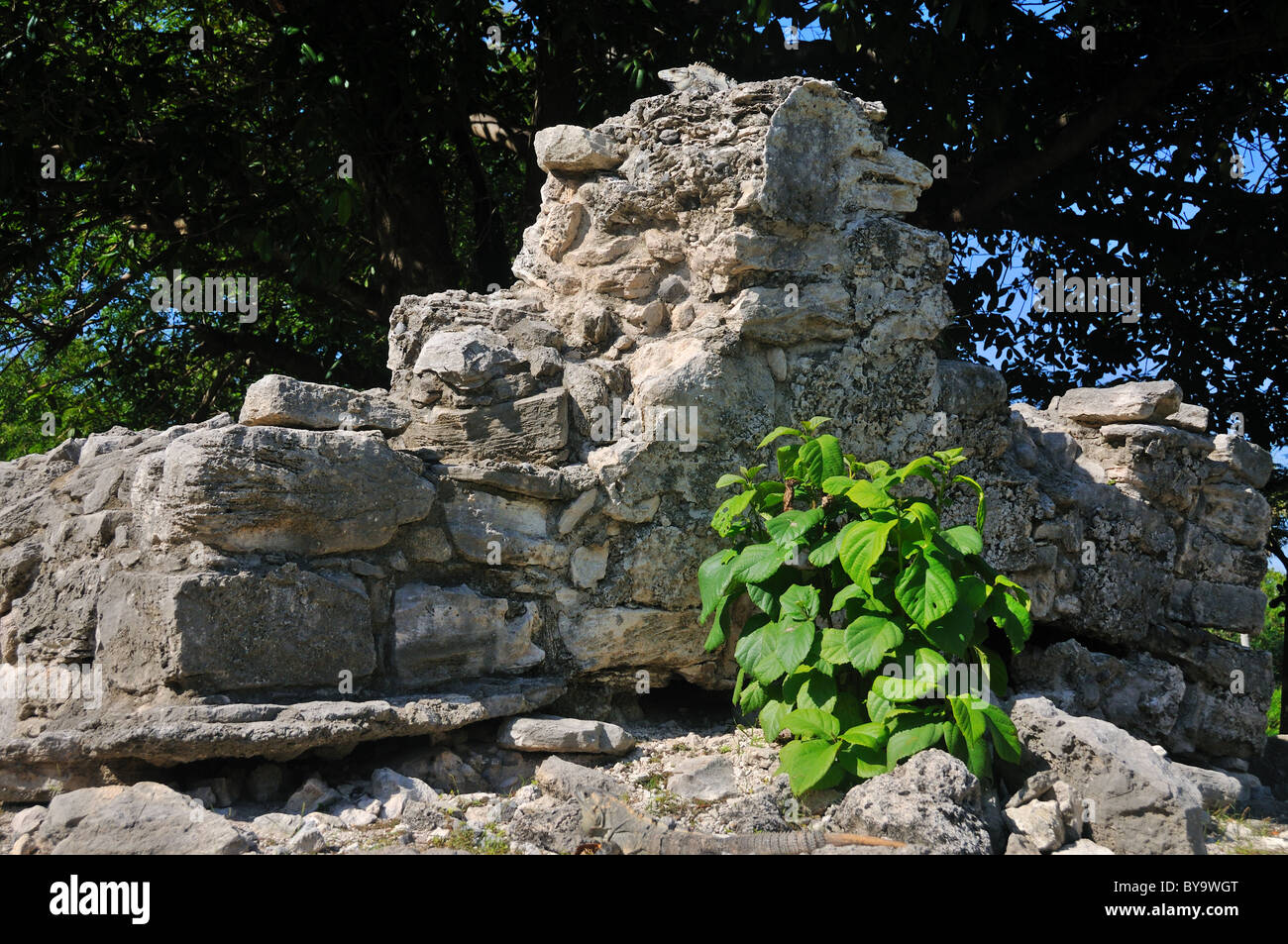 patially reconstructed Maya ruin near Playa Del Carmen Quntana Roo ...