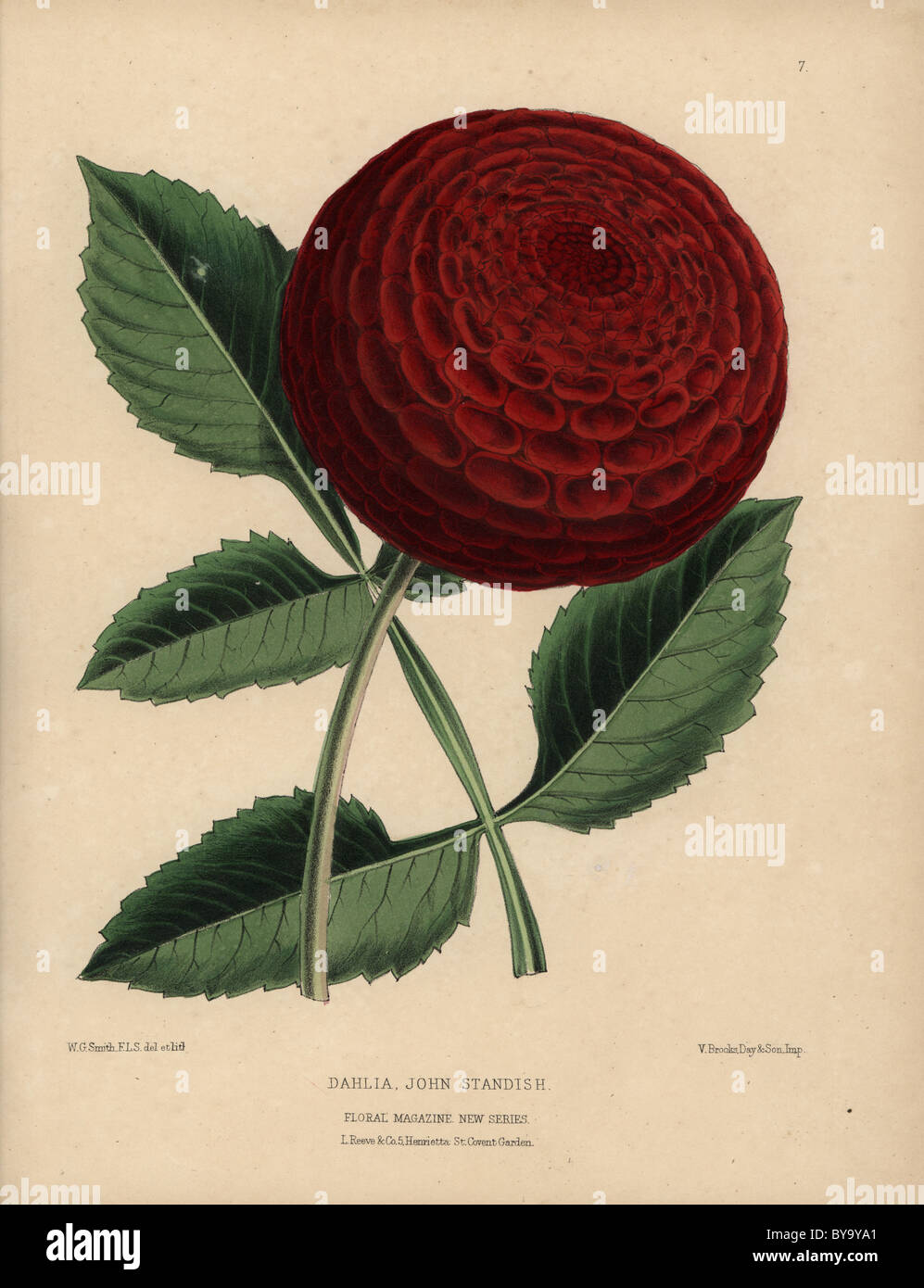 John standish hi-res stock photography and images - Alamy