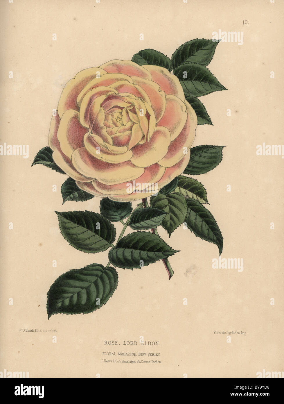 Henry lord architect hi-res stock photography and images - Alamy