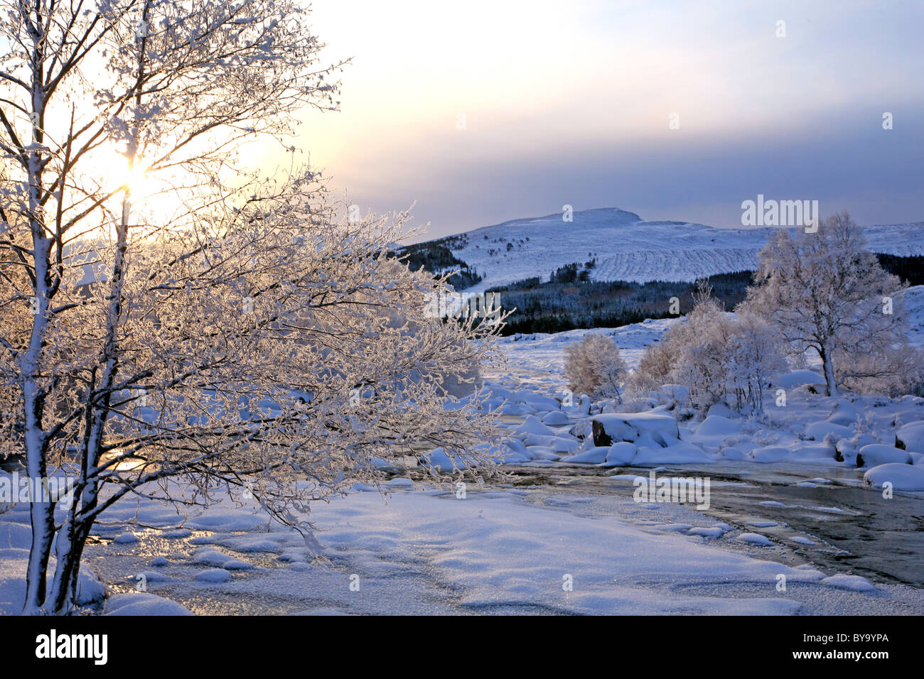 Garve hi-res stock photography and images - Alamy