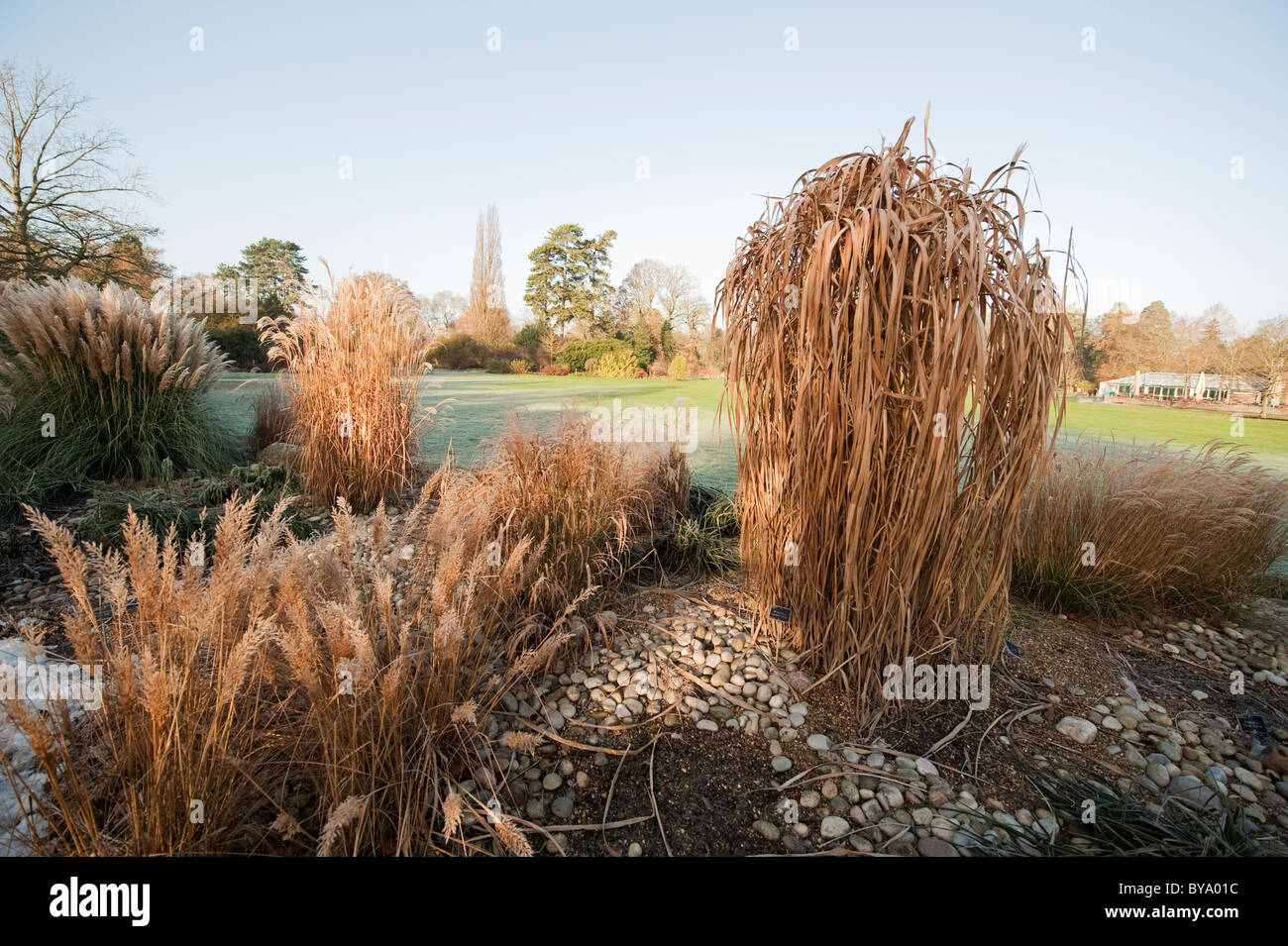 Rhs wisley gardens hi-res stock photography and images - Alamy