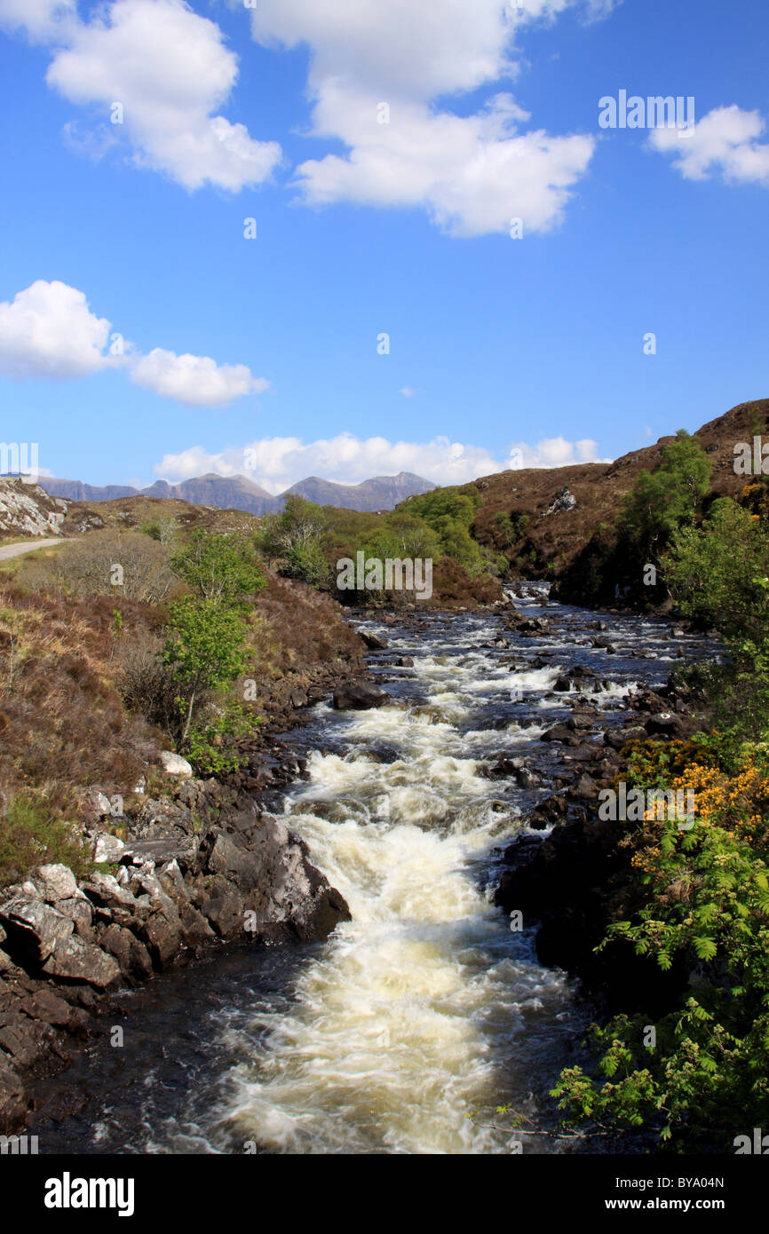 River inver salmon hi-res stock photography and images - Alamy