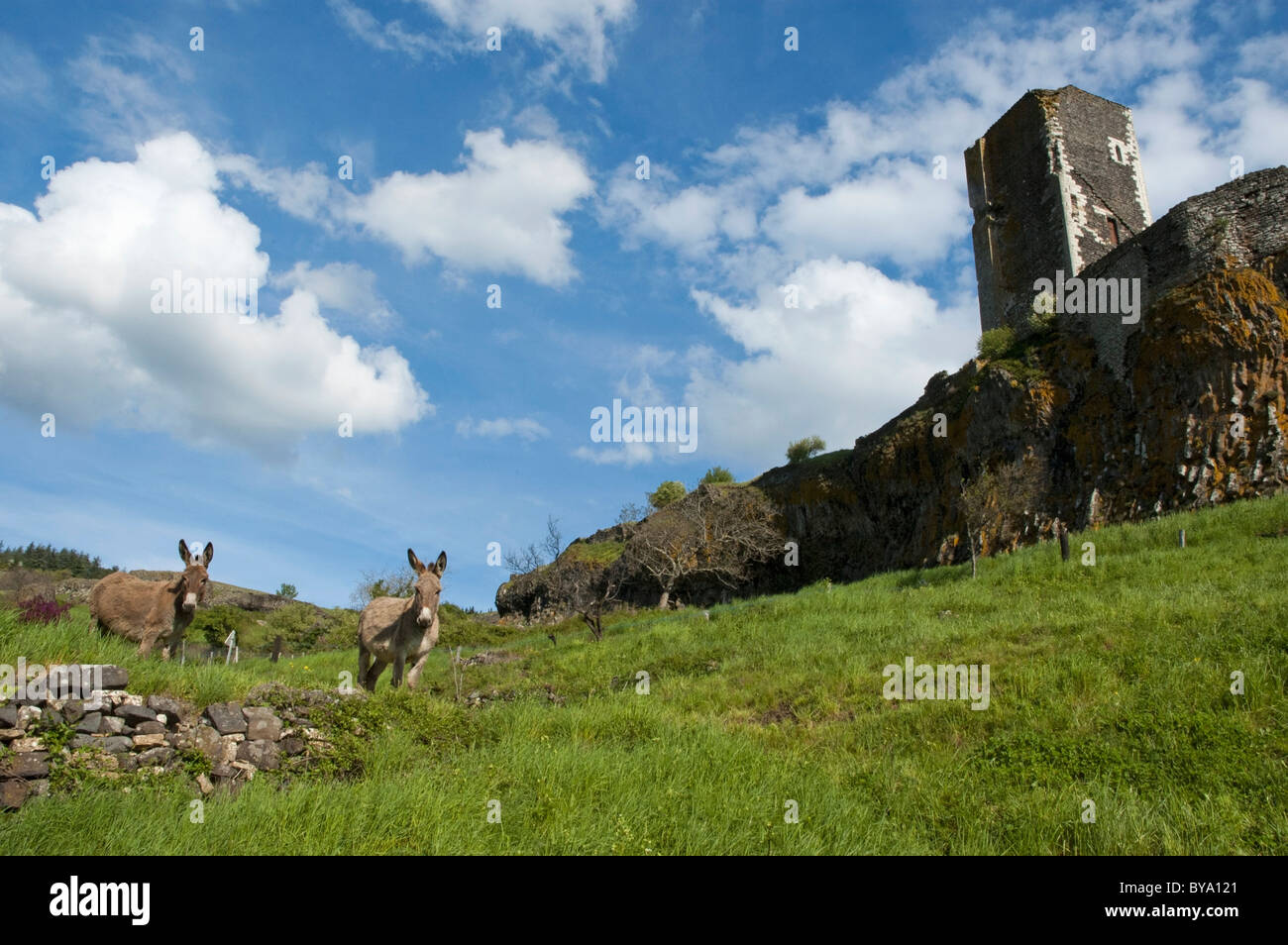 France Ardeche Mirabel Village Basaltic Cliffs And The Donjon Tower ...