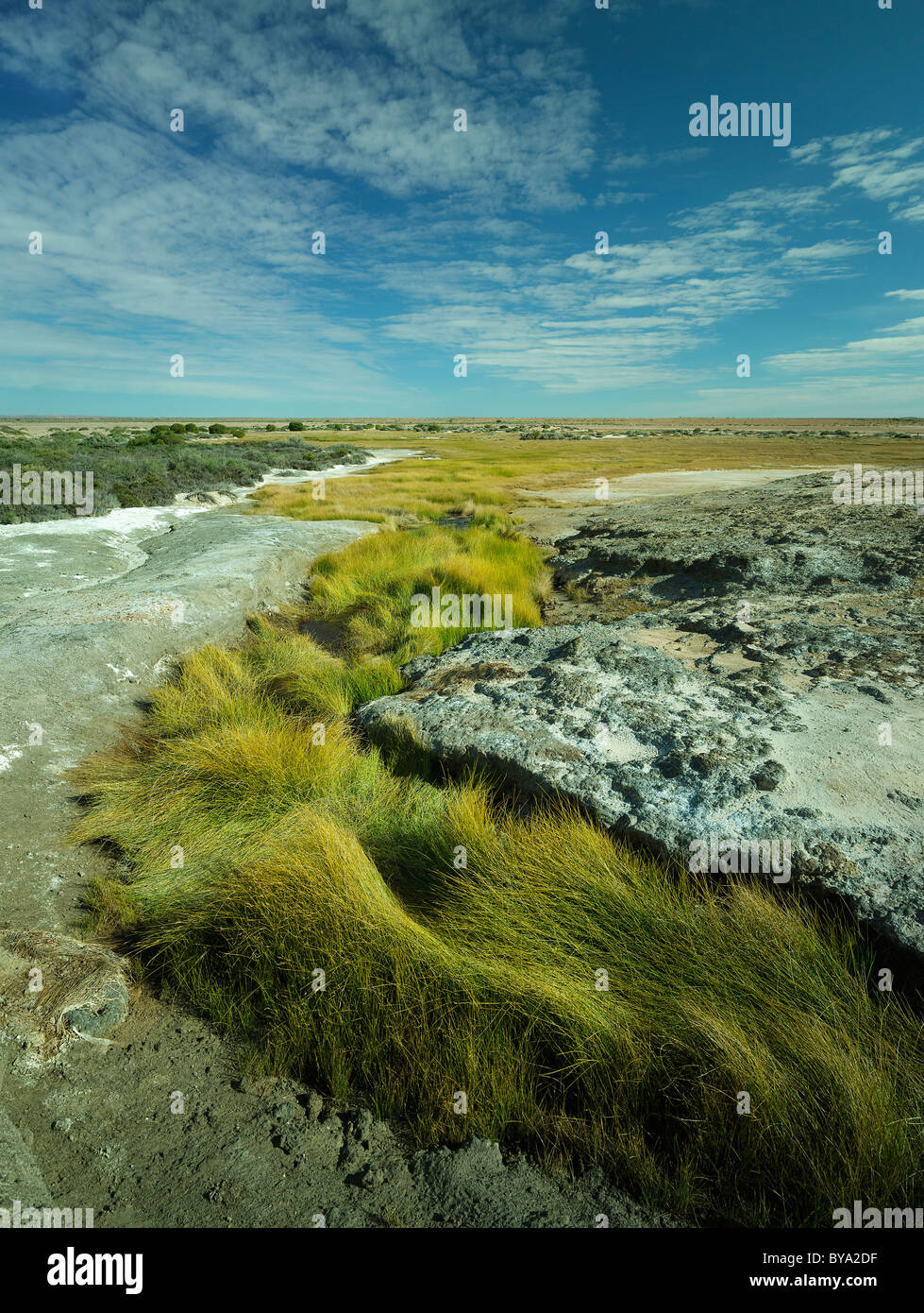 Tufa springs hi-res stock photography and images - Alamy