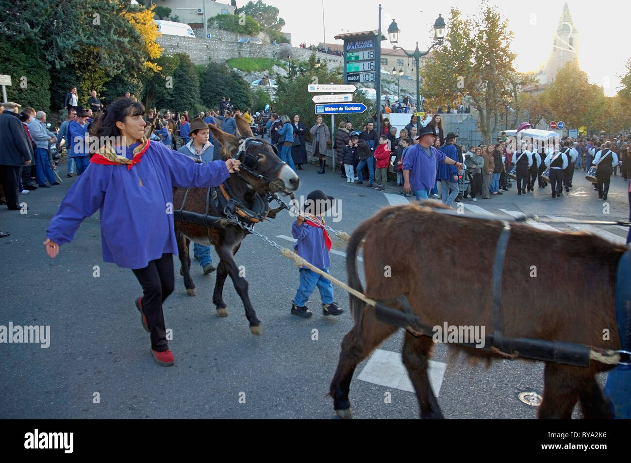 Celebration crowd donkeys parade hi-res stock photography and images ...
