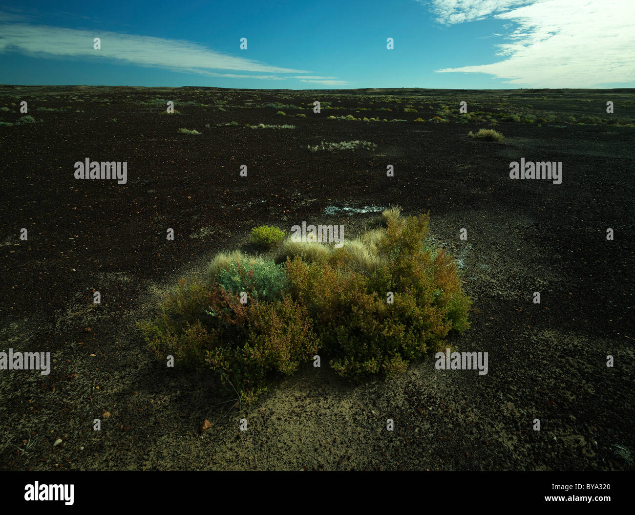 Arid gibber plains hi-res stock photography and images - Alamy