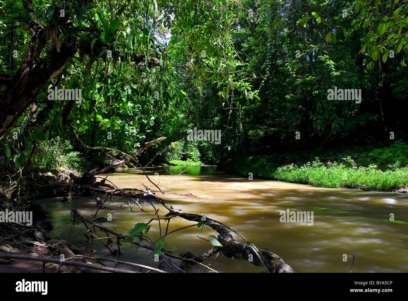 Sardinal river in Sarapiqui, Costa Rica Stock Photo - Alamy