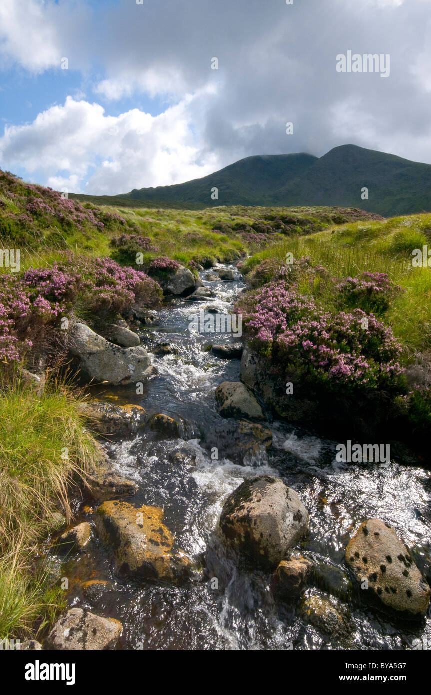 The merrick scotland hi-res stock photography and images - Alamy