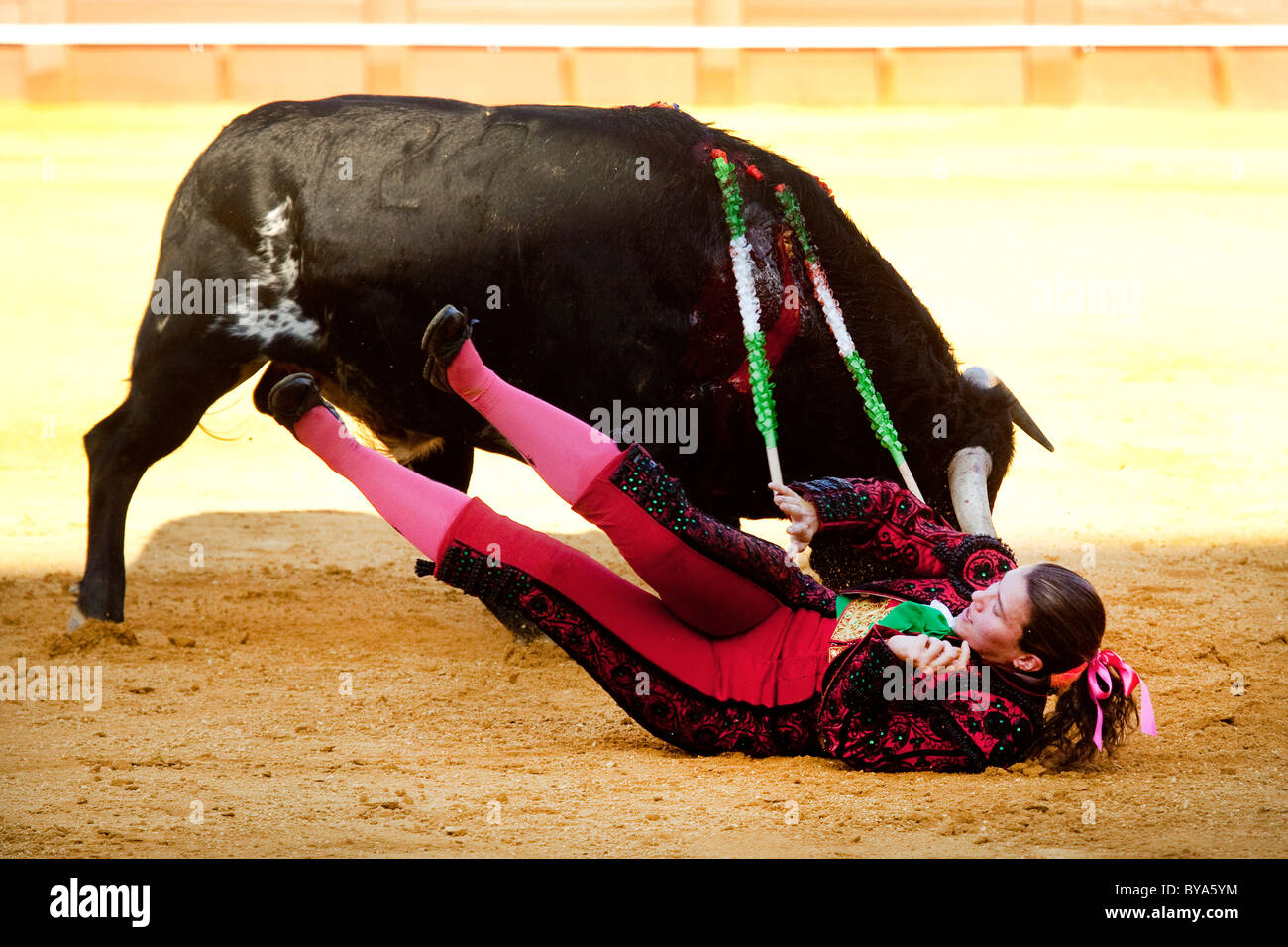 Female Torero or torera, matador with bull, Plaza de Toros de la ...