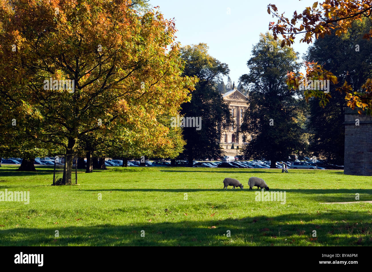 Car parking house hi-res stock photography and images - Alamy