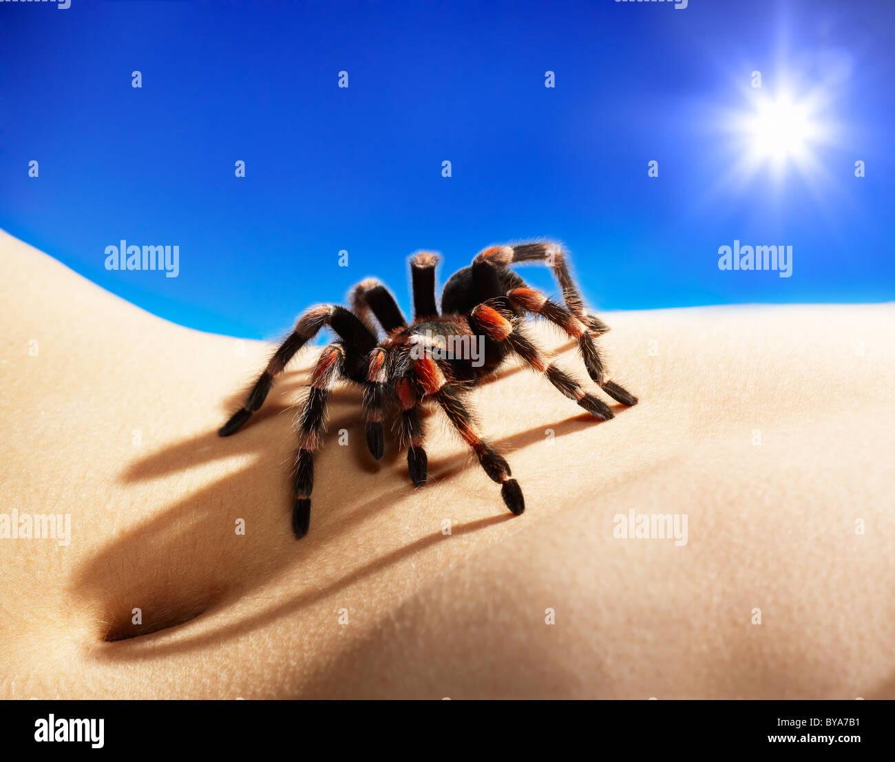 Bodyscape hi-res stock photography and images - Alamy