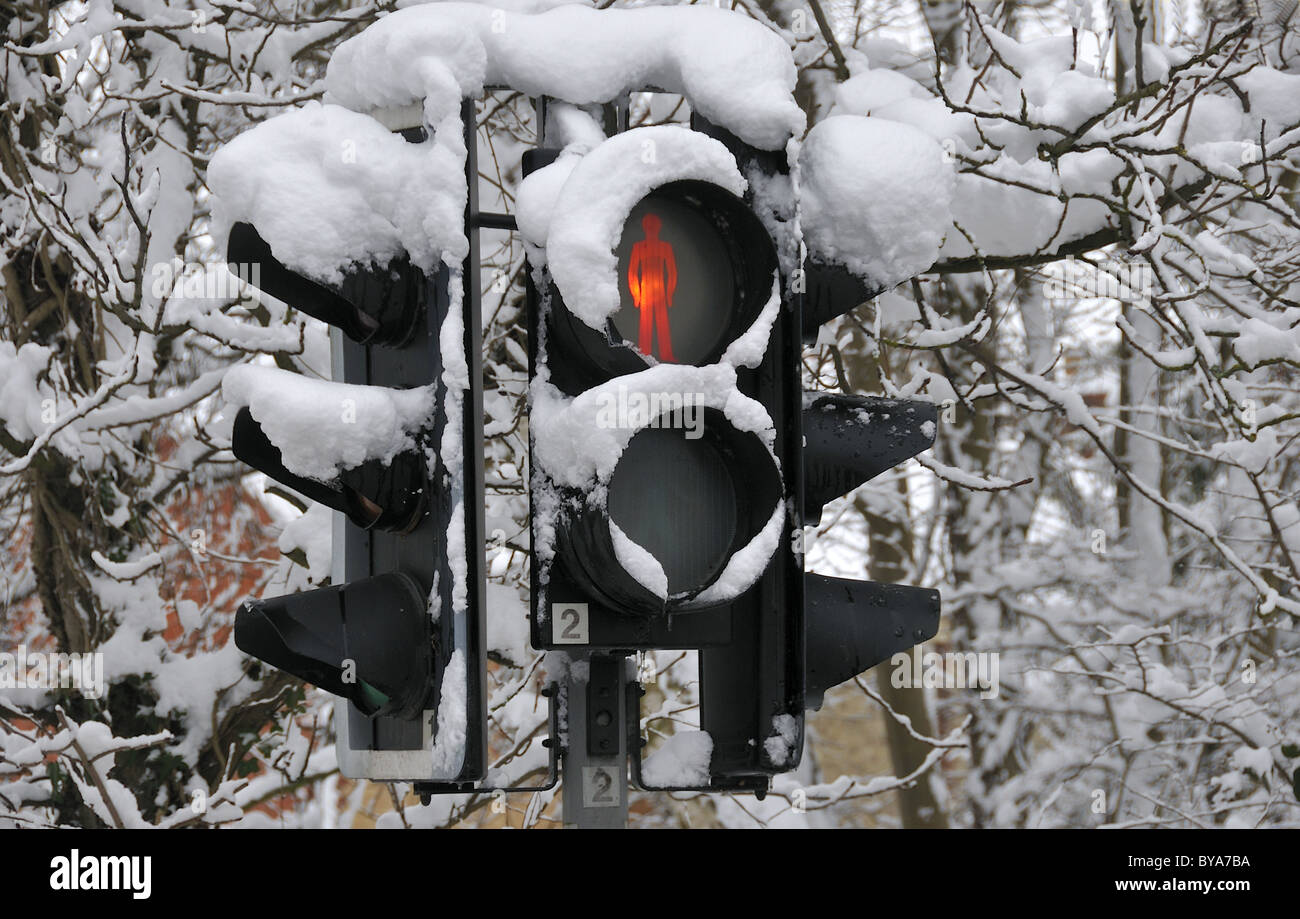 Red light at pedestrian crossing lights hi-res stock photography and ...