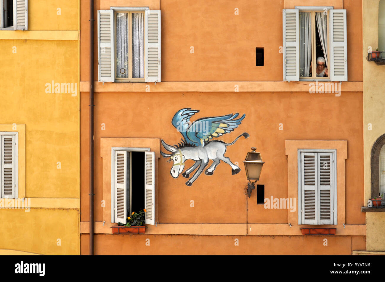 Comic wall painting of a winged donkey, Pegasus, Rome, Lazio, Italy ...