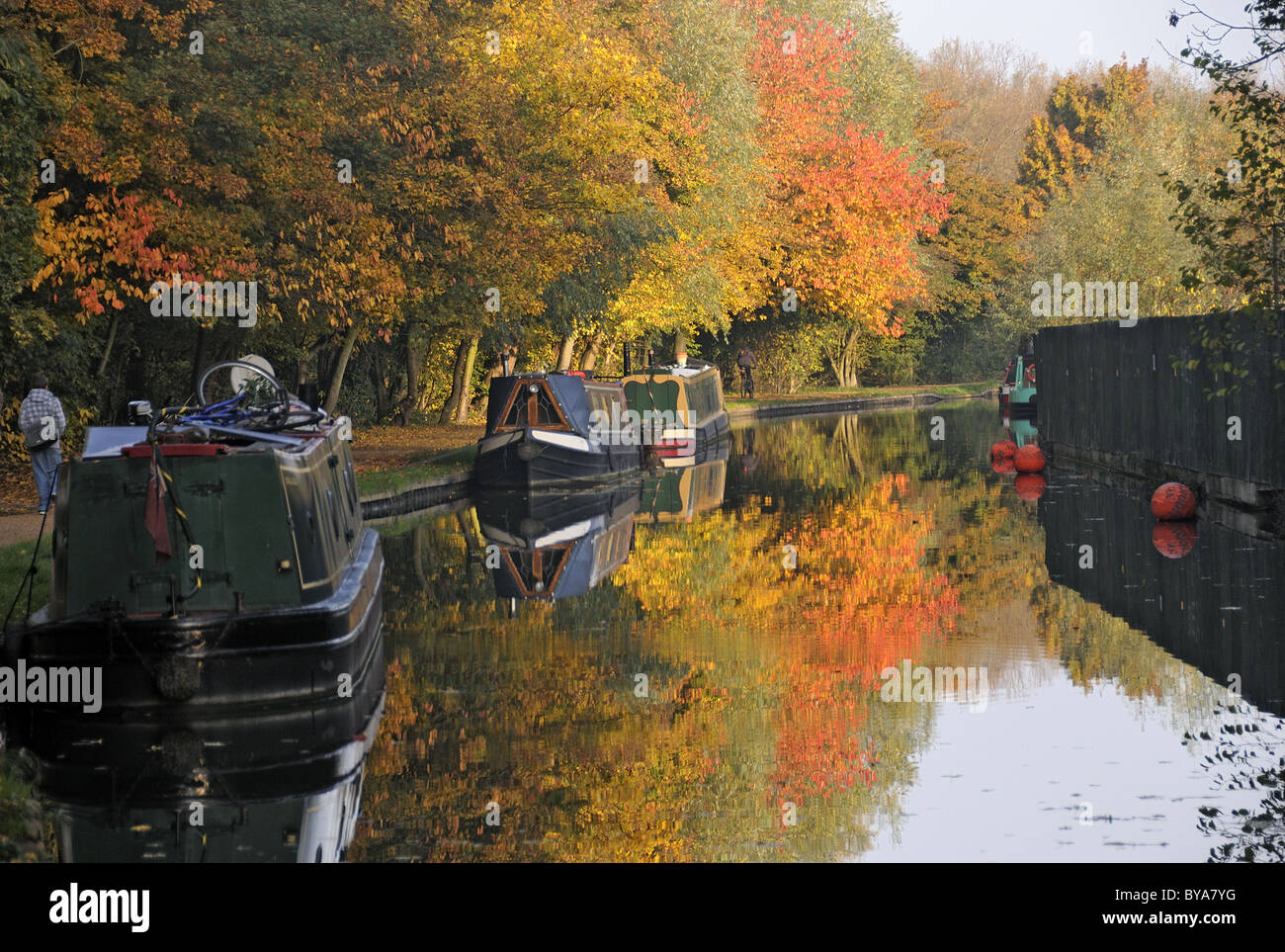 Autumn colour, Oxford Canal Stock Photo - Alamy