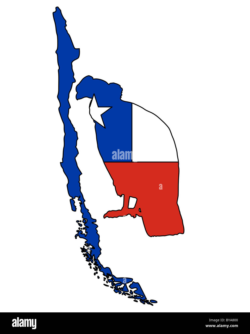 Andean Condor Chile Stock Photo - Alamy