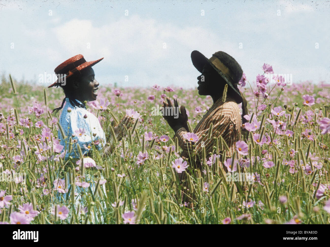 The Color Purple Year: 1985 - USA Director : Steven Spielberg Akosua ...