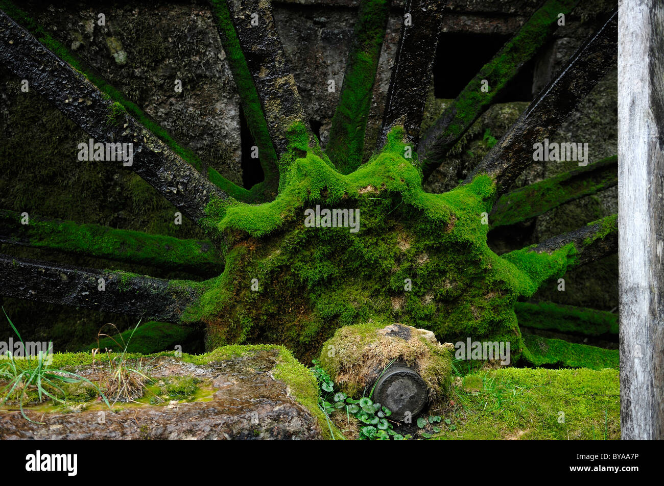 Grist mill wheel hi-res stock photography and images - Alamy