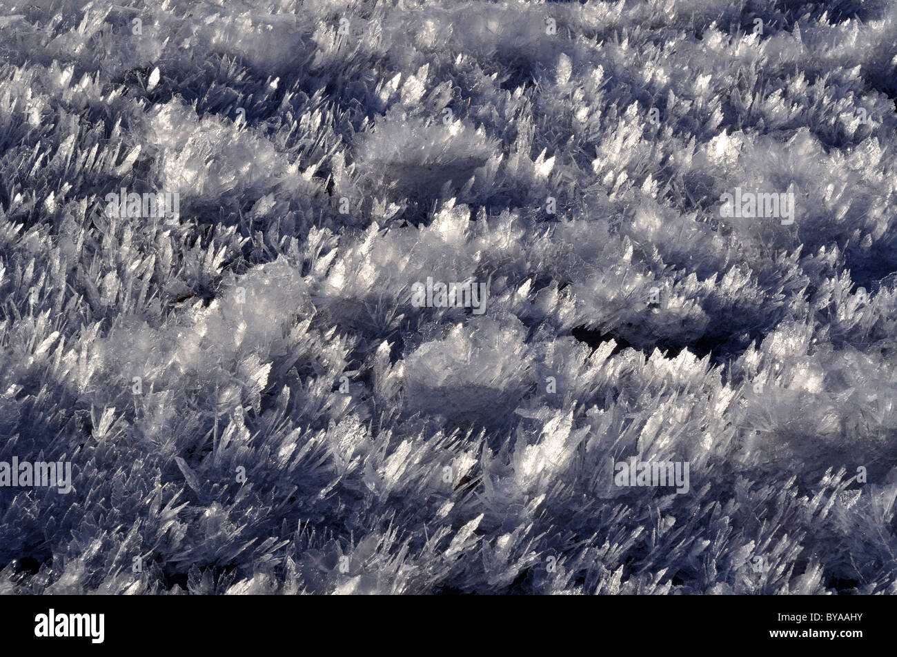 Sharp Picture High Resolution Stock Photography and Images - Alamy