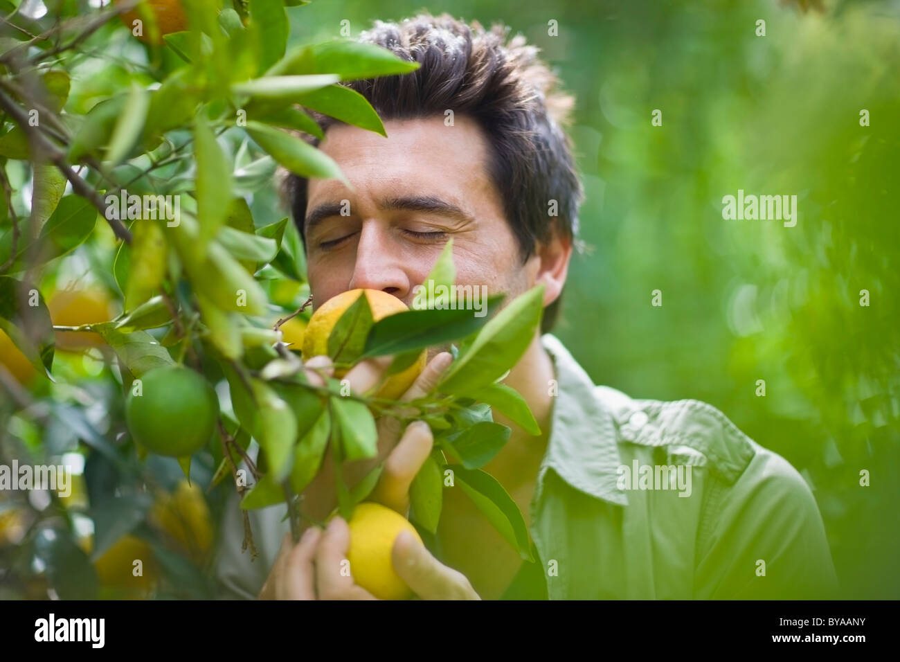 Man smelling at orange Stock Photo - Alamy