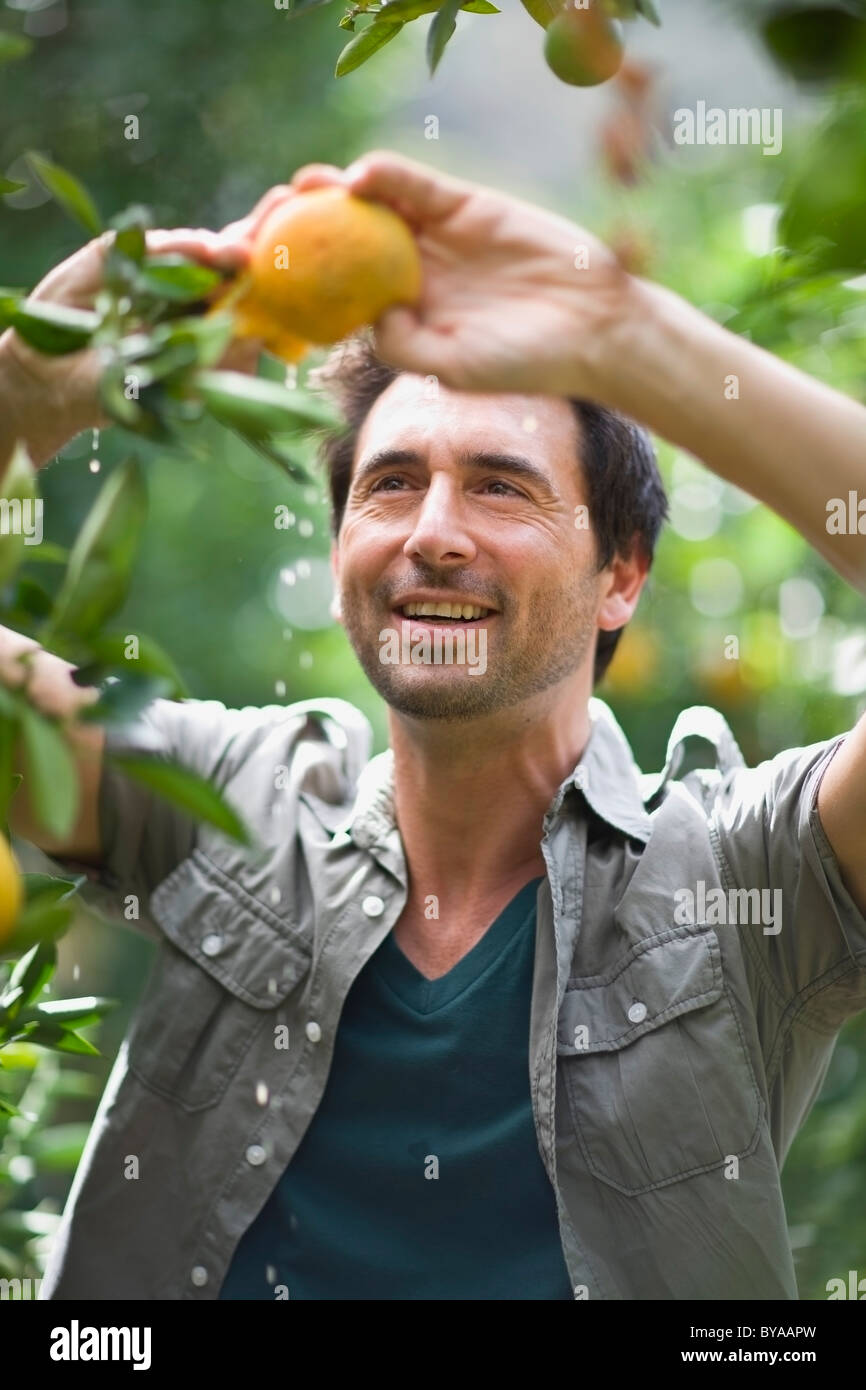 Man with orange Stock Photo - Alamy