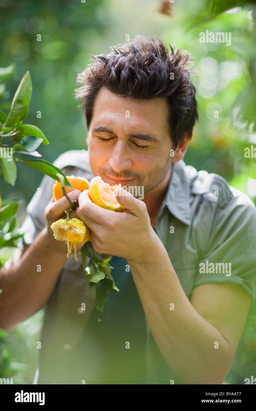 Man smelling at orange Stock Photo - Alamy