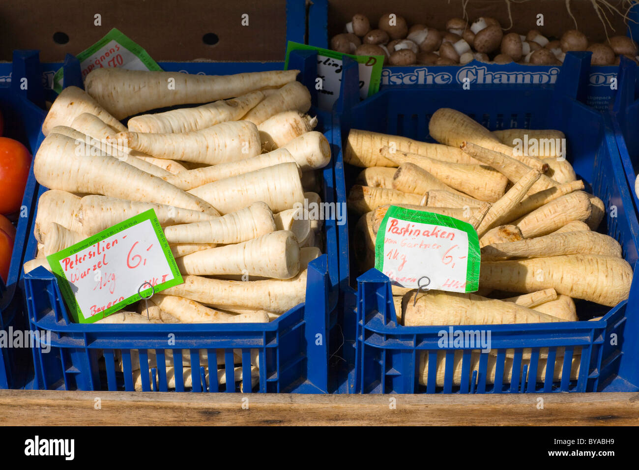 Parsley roots and parsnips on the Viktualienmarkt food market, Altstadt ...
