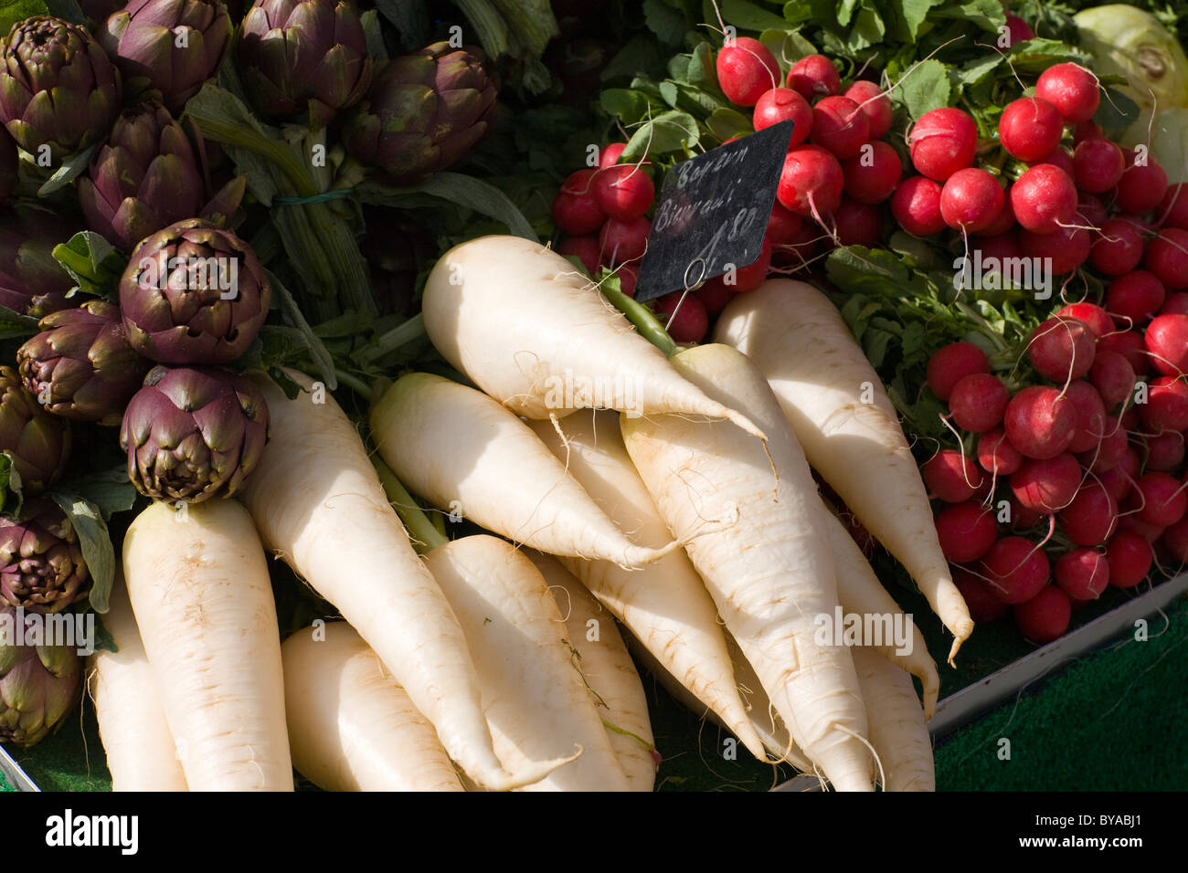 Radishes on the Viktualienmarkt food market, Altstadt-Lehel district ...