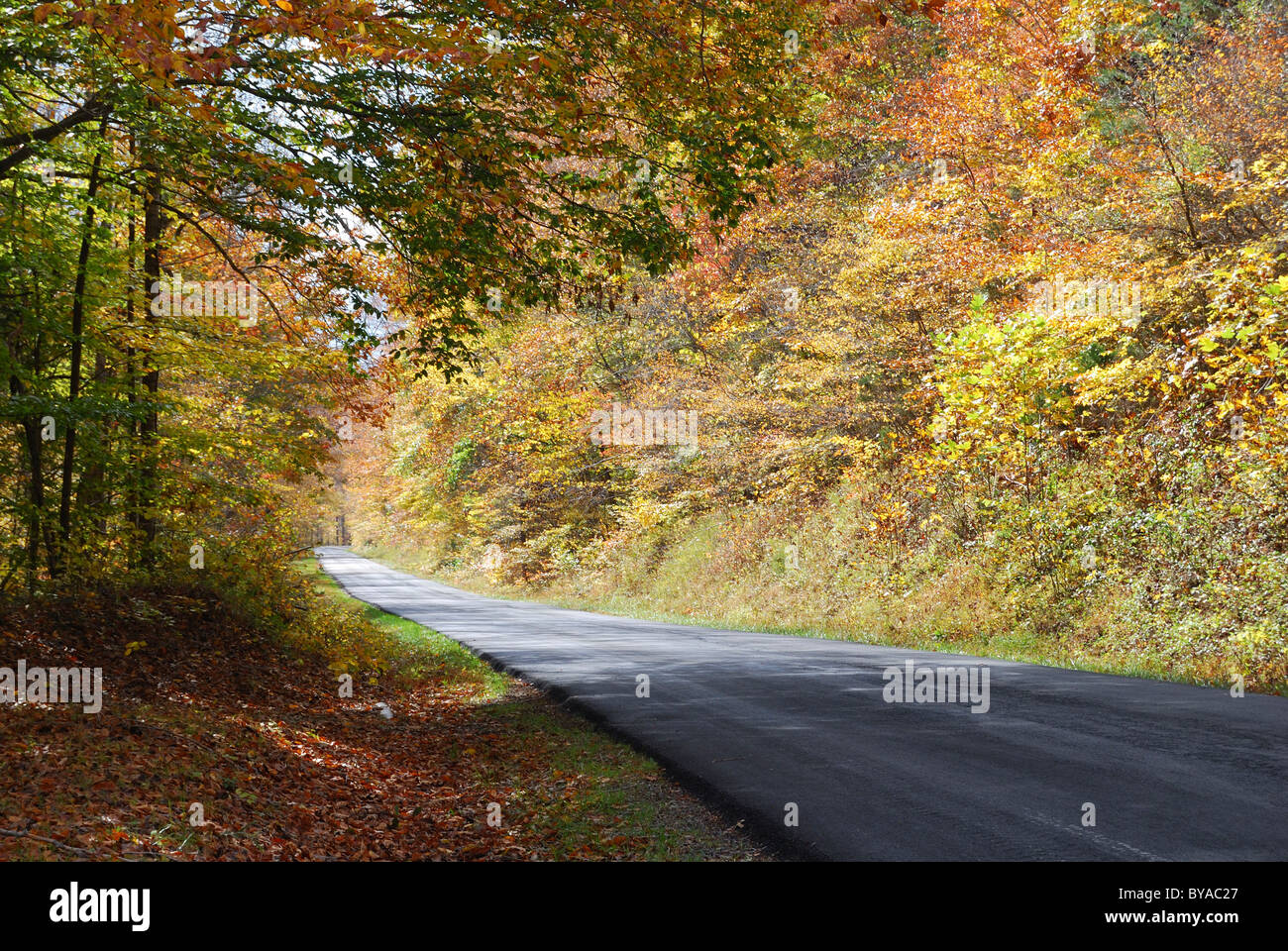Virginia country road hi-res stock photography and images - Alamy