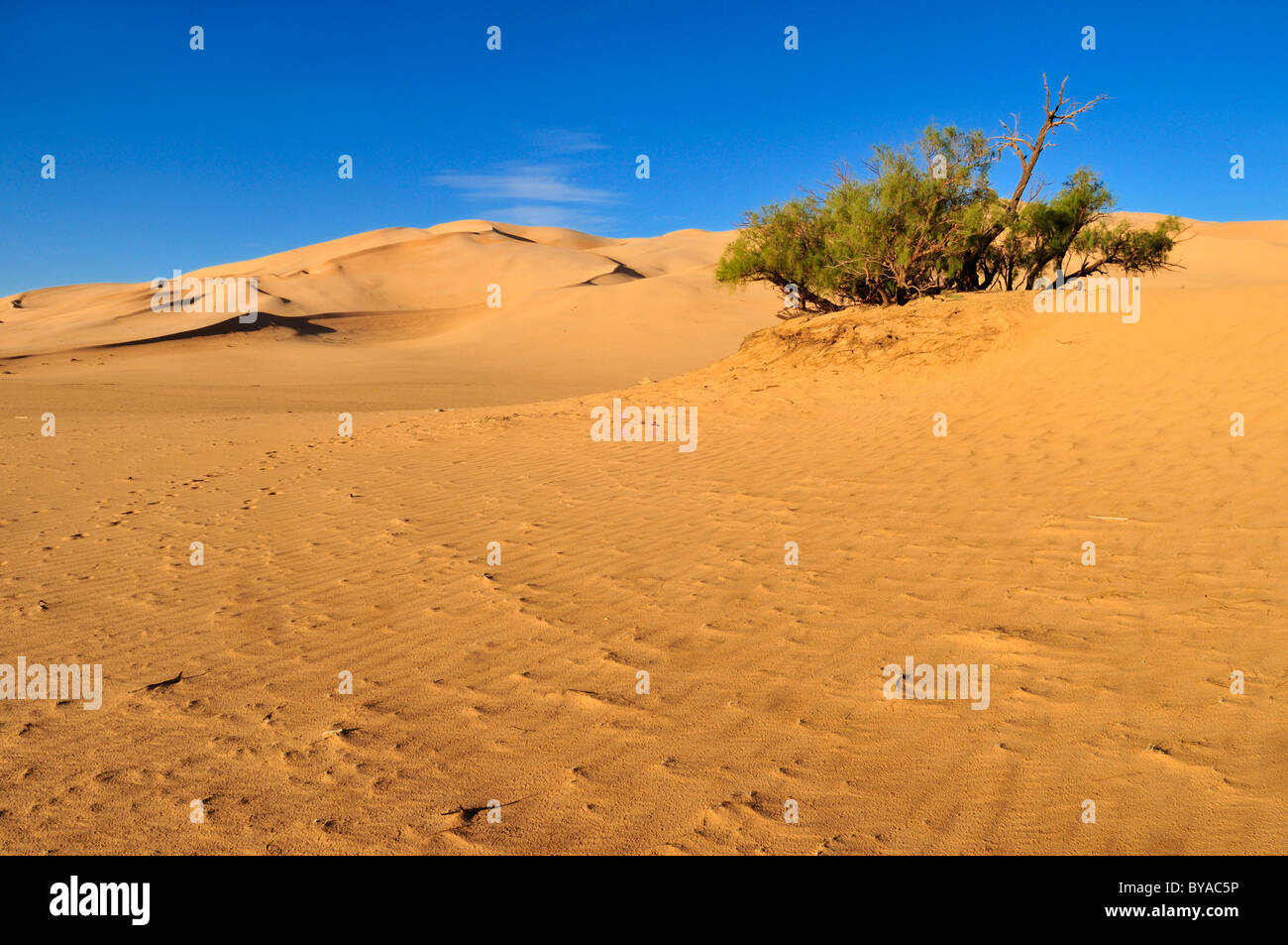 Wilaya illizi hi-res stock photography and images - Alamy
