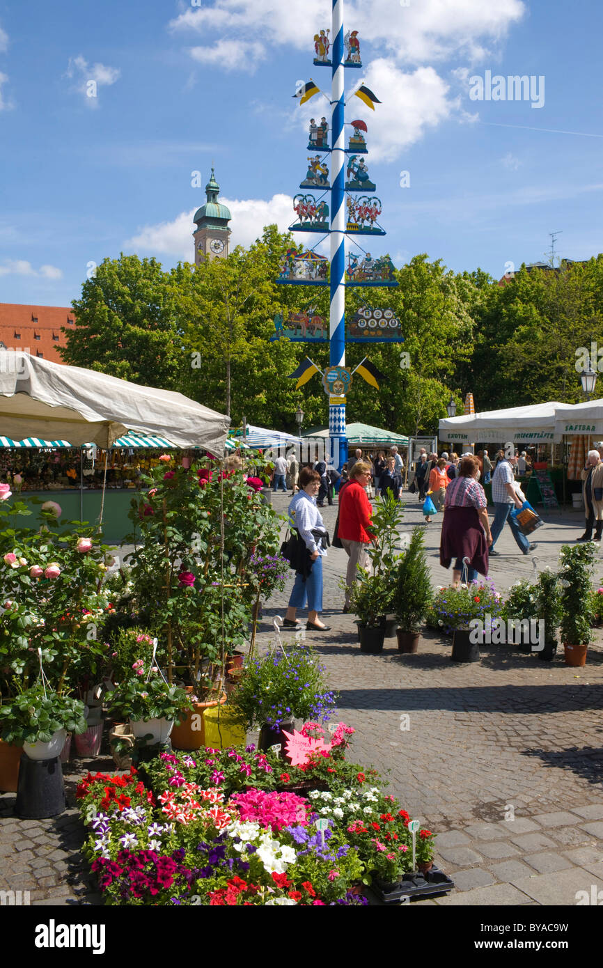 Flower stall on the Viktualienmarkt market, Altstadt-Lehel district ...